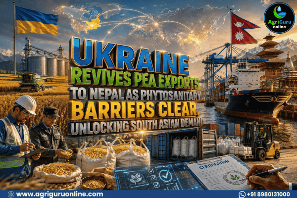 Ukraine Revives Pea Exports to Nepal as Phytosanitary Barriers Clear ...